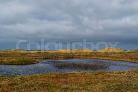 Orla Thorsager Andersen | Fotos | Colourbox.dk